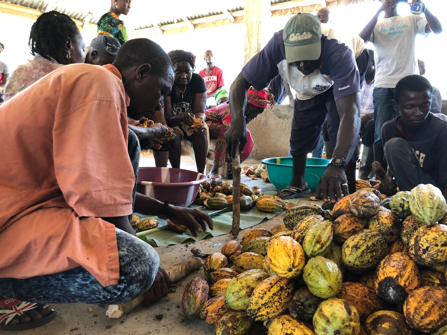 What is Single-Origin Chocolate? – Meridian Cacao Co