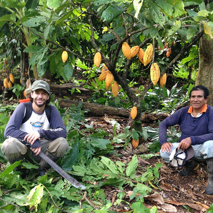 Peru Cocoa Powder - High Fat – Meridian Cacao Co